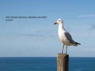 His first flight | PPTX