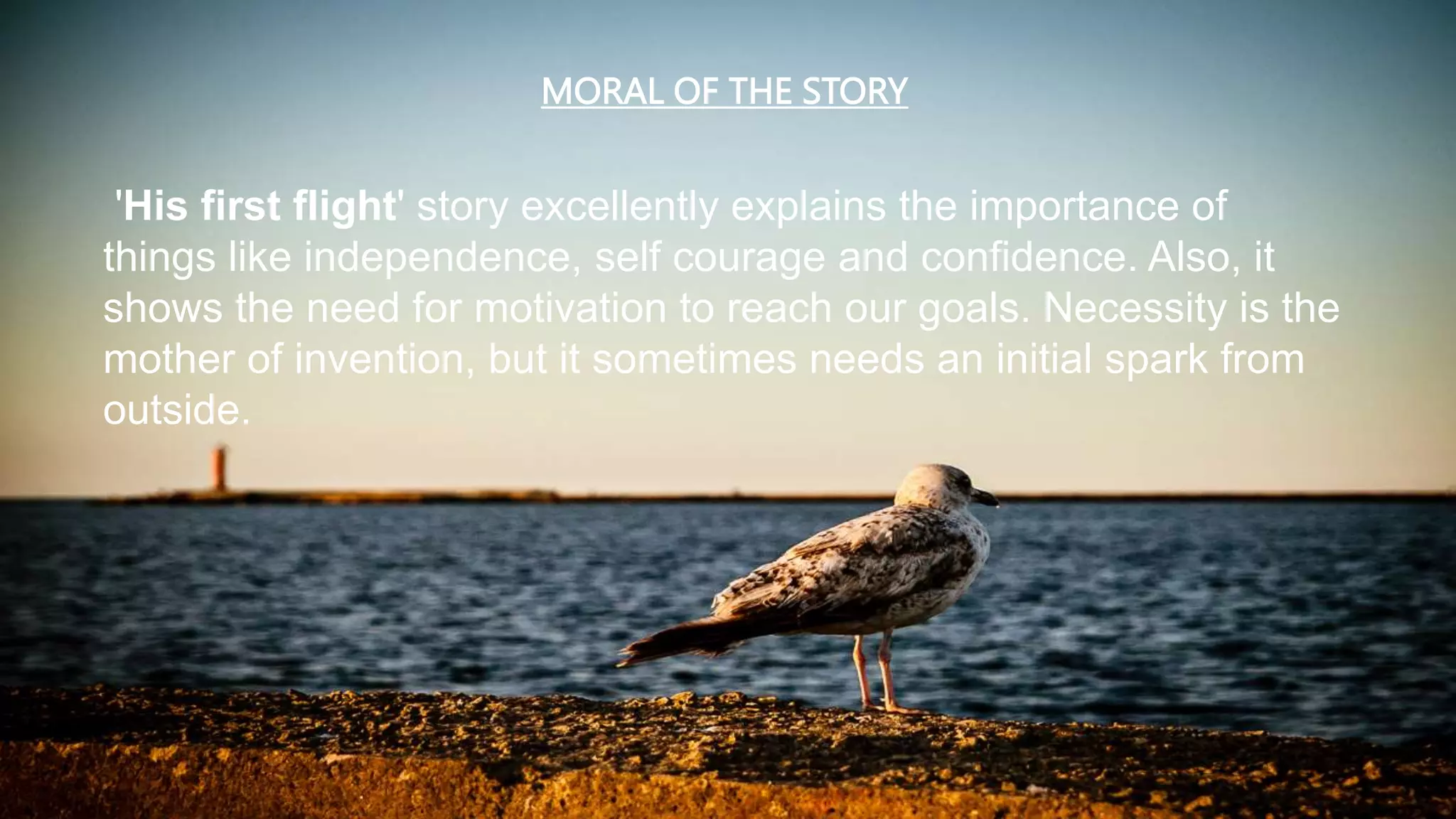 His first flight.pptx