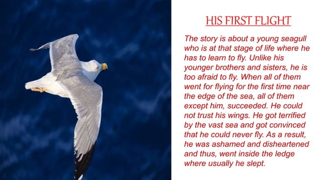 His first flight.pptx