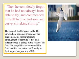 His First Flight - PPT.pptx