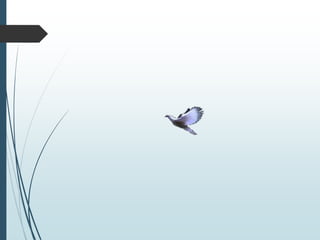 His first flight Class X | PPTX