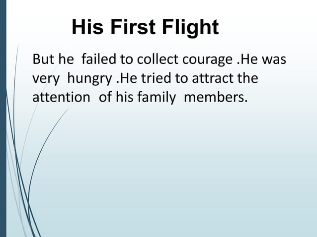 His first flight Class X | PPTX | Air Travel | Travel Type