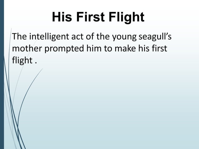 His first flight Class X | PPTX | Air Travel | Travel Type