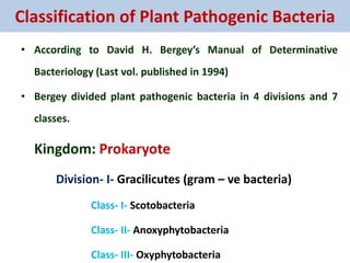 Hisplantpathogenicbacteria-200610085215.pdf