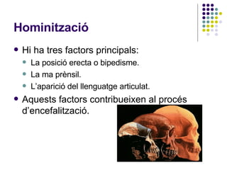 Hist Ria De La Vida | PPT