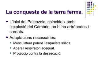 Hist Ria De La Vida | PPT