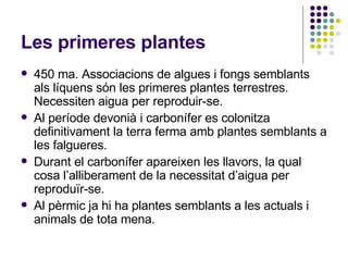 Hist Ria De La Vida | PPT