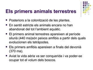 Hist Ria De La Vida | PPT