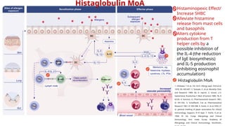 Histaglobulin in Respiratory Allergies Dec'24.pptx