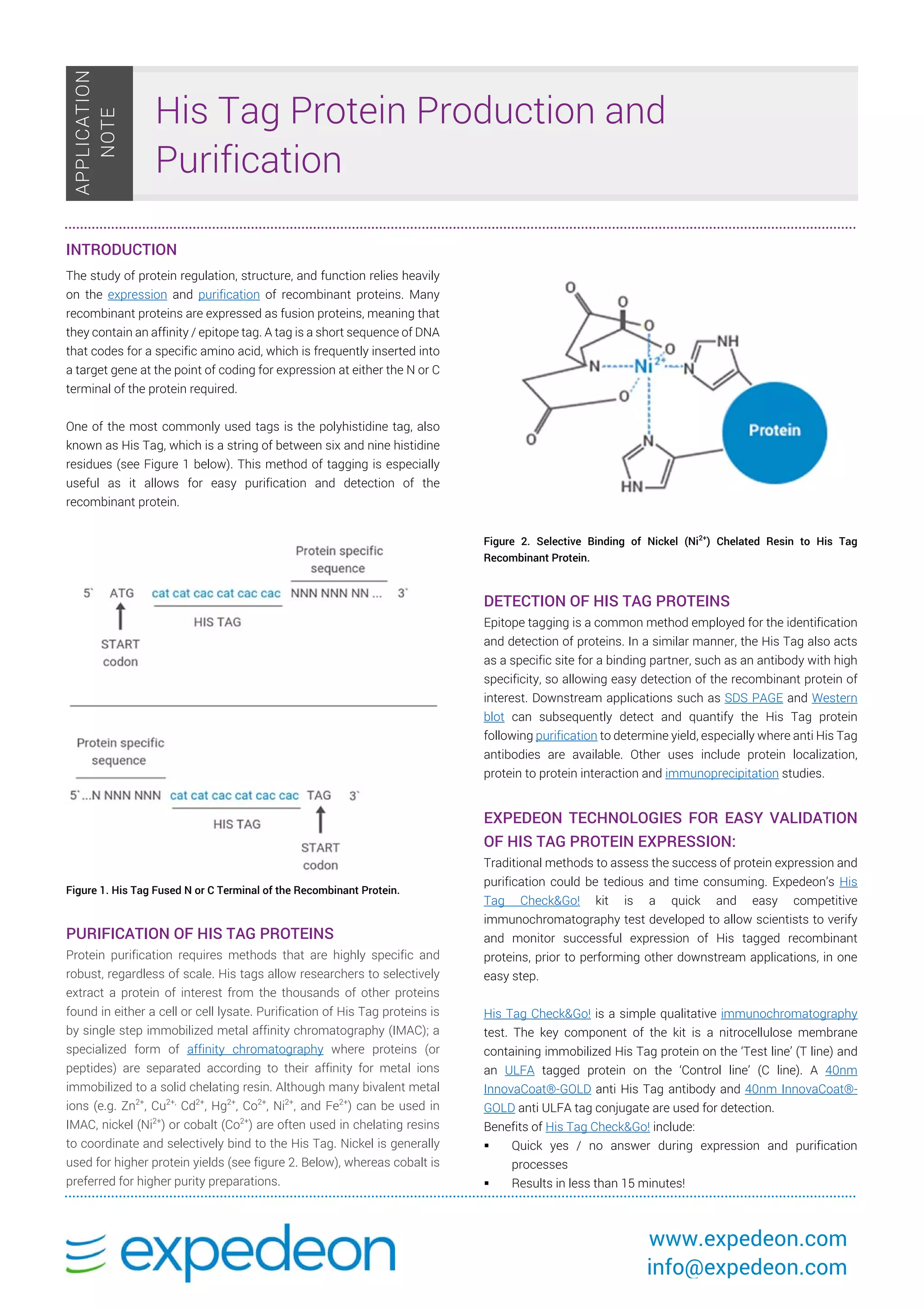 His Tag Protein Production and Purification | PDF