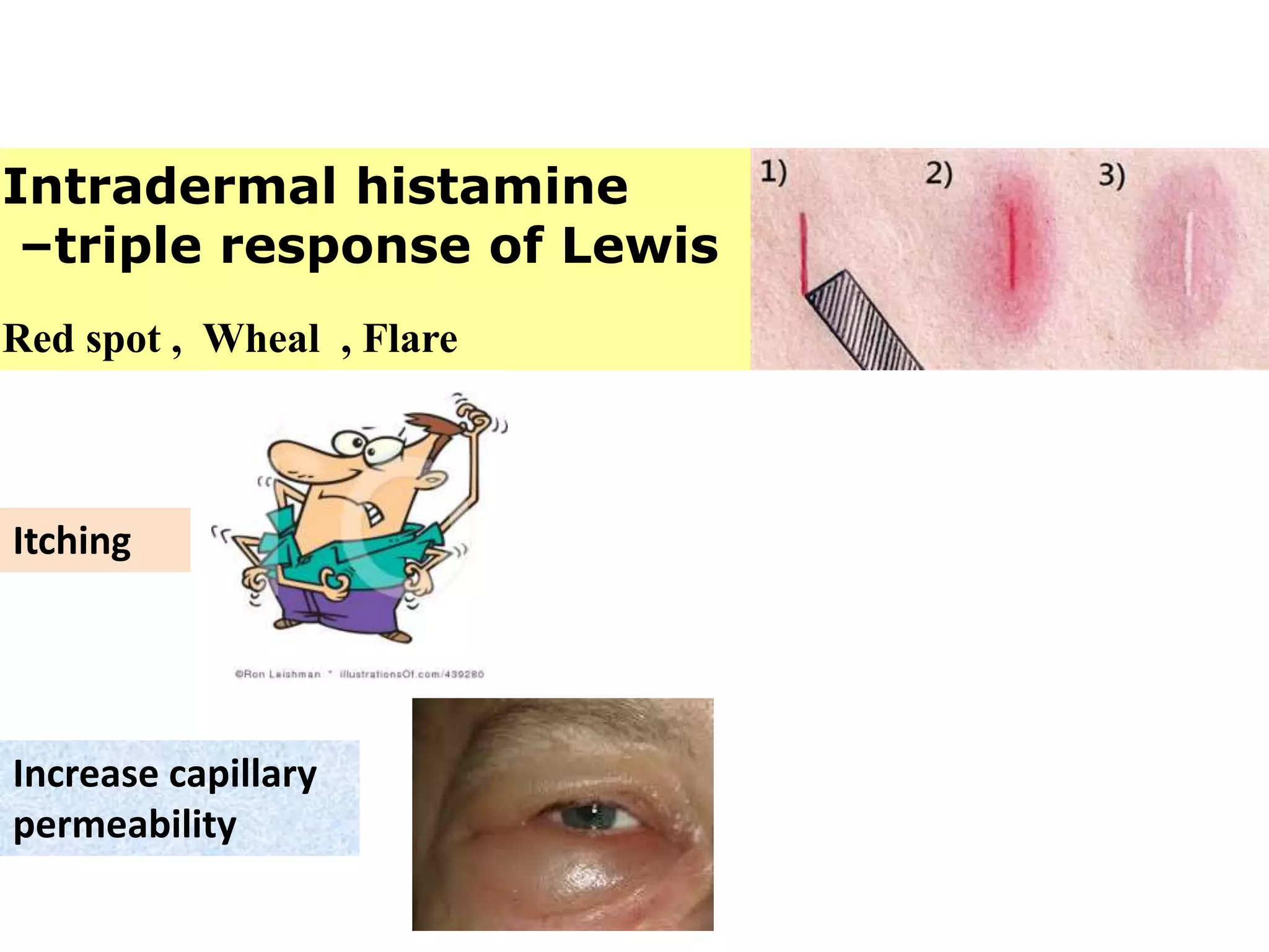 Histamine pharmacology | PPTX
