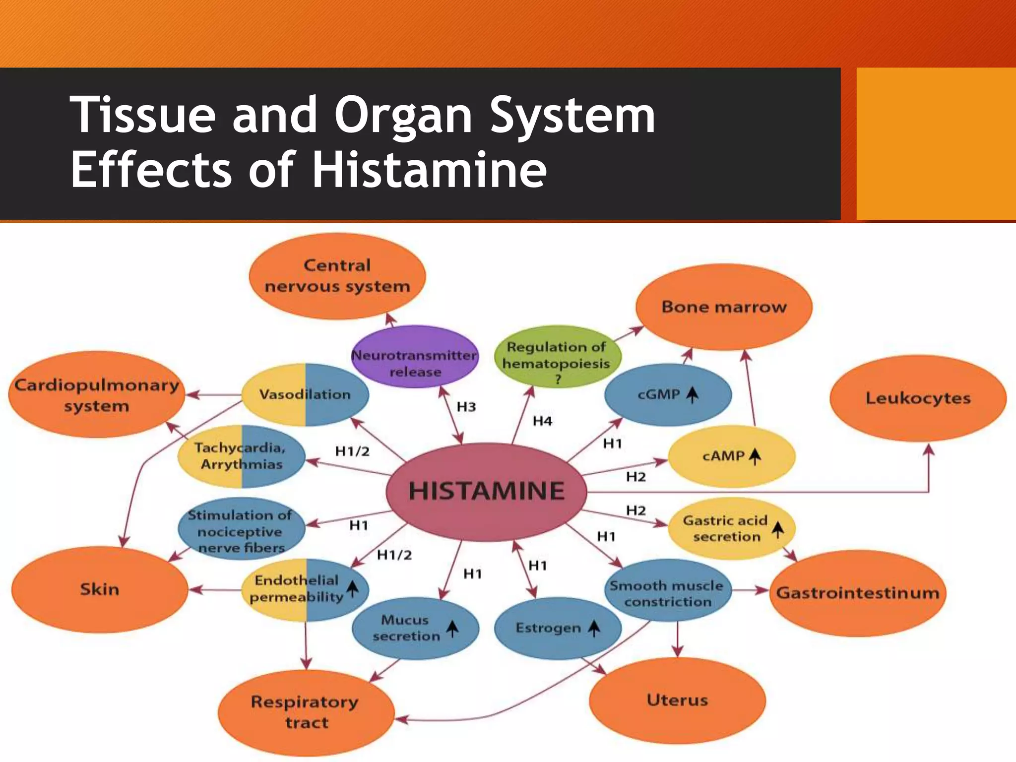 Histamine | PPTX