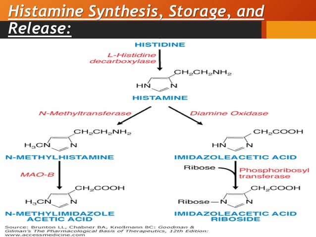 Histamine | PPTX