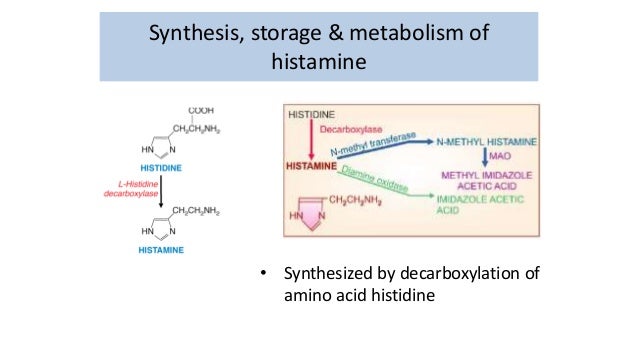 Histamine and its antagonists