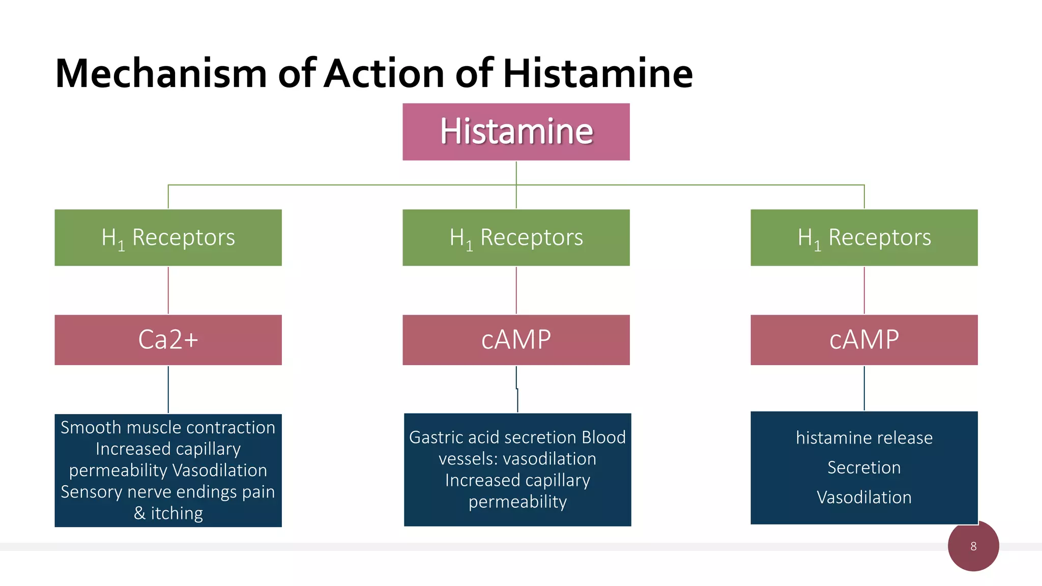 Histamine | PPT