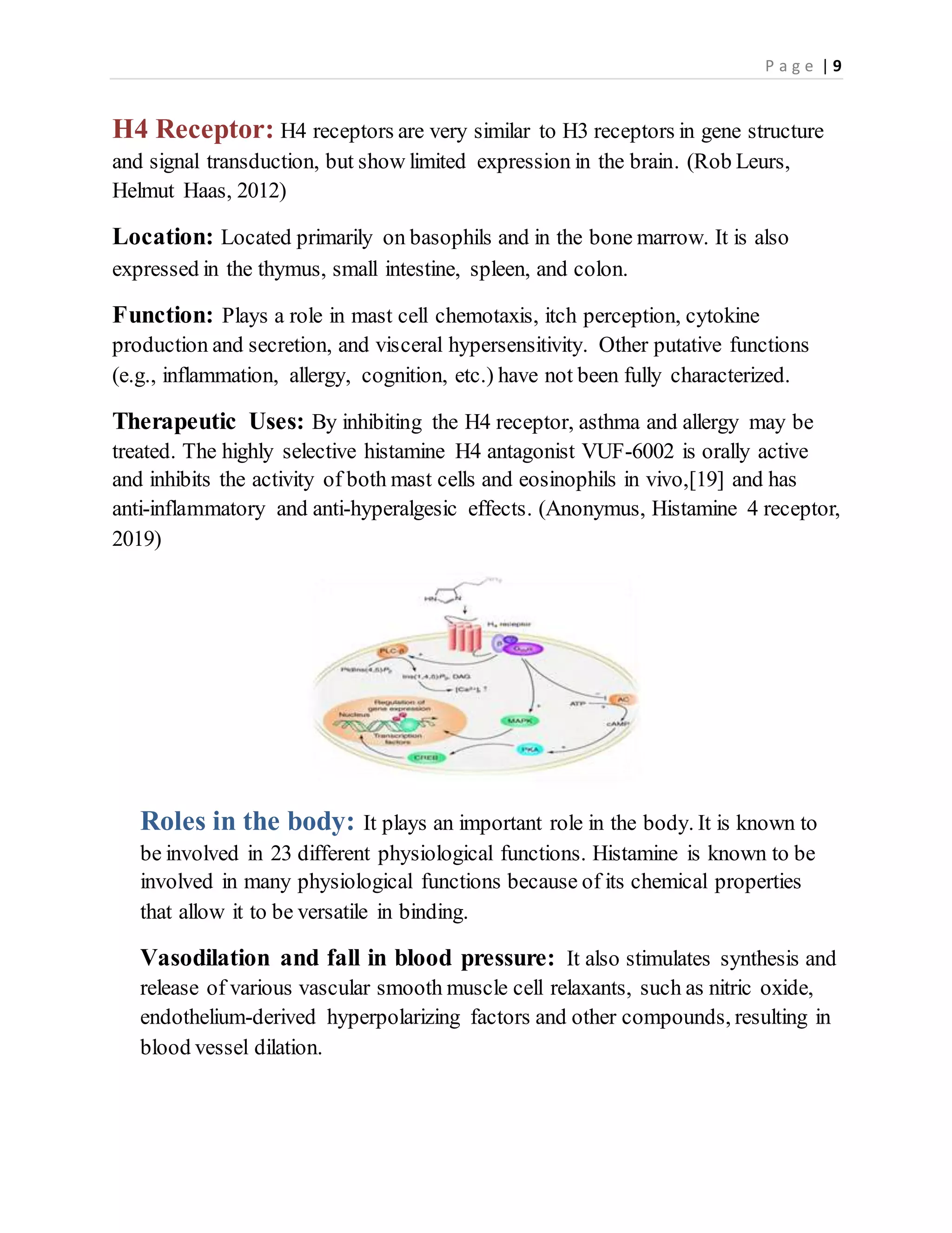 Histamine & Antihistamine | DOCX