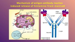 Histamine | PPTX