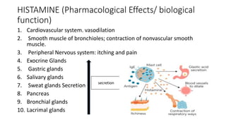 Histamine | PPTX | Allergies | Diseases and Conditions