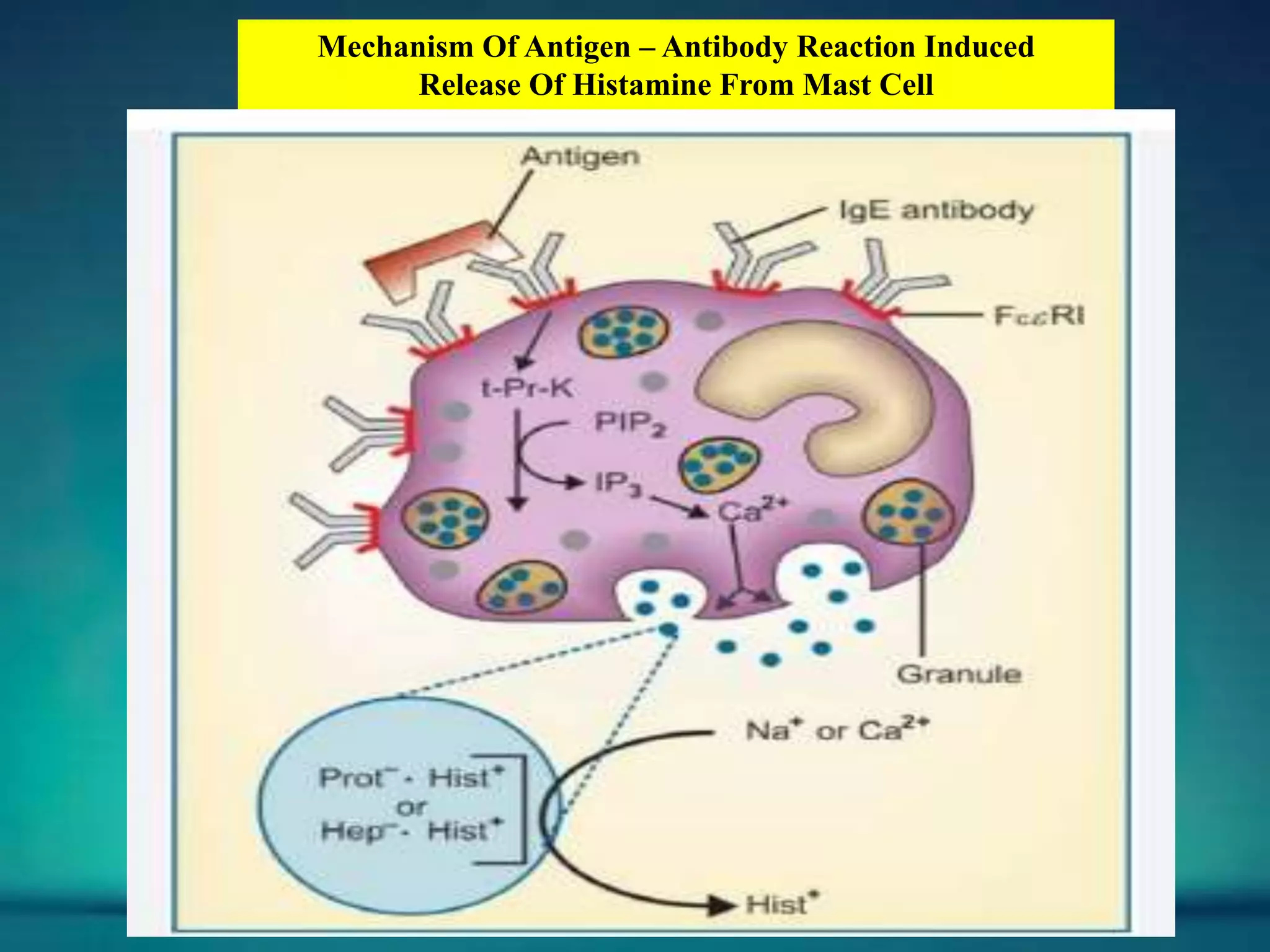 HISTAMINE.pptx