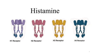 The presentation on Histamine | PPT