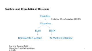 The presentation on Histamine | PPT