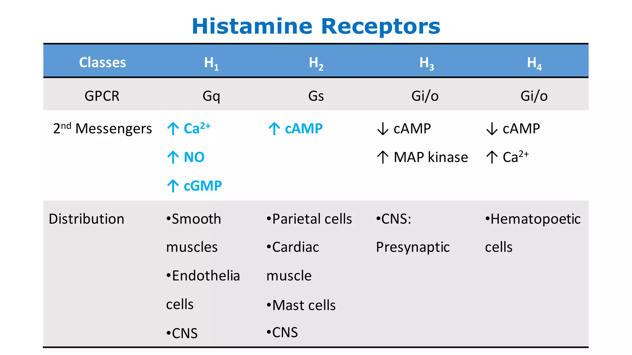 Histamine and antihistaminic drugs | PPT