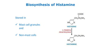 Histamine and antihistaminic drugs | DOCX
