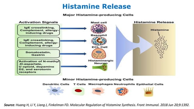 Histamine and antihistaminic drugs | PPT