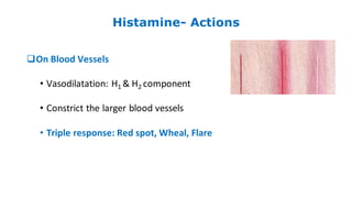 Histamine and antihistaminic drugs | PPT