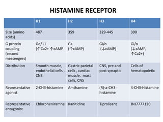Histamine and antihistamine | PPTX