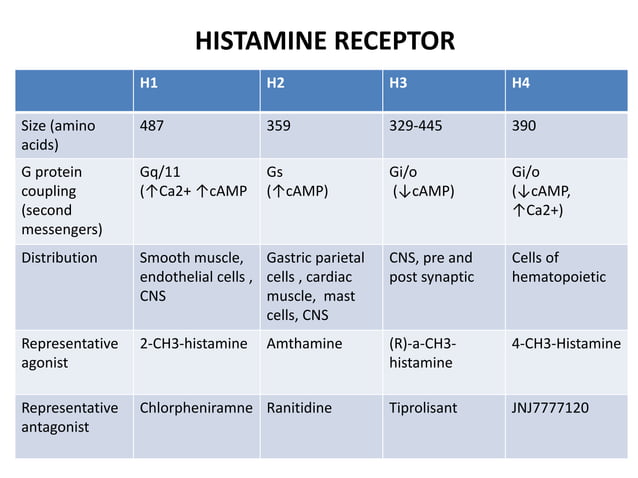 Histamine and antihistamine | PPTX | Allergies | Diseases and Conditions