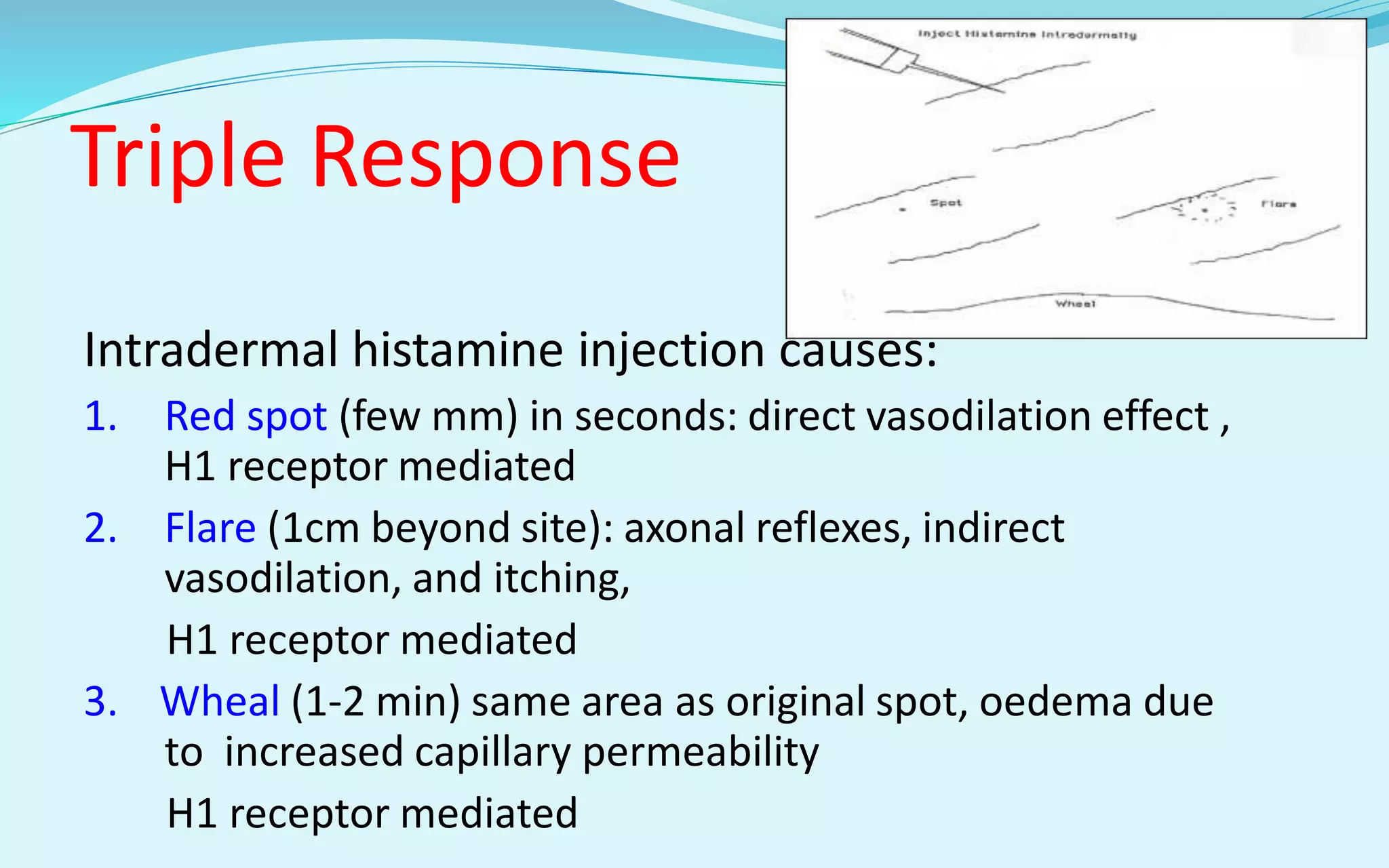 Histamine and antihistamine drugs | PPTX