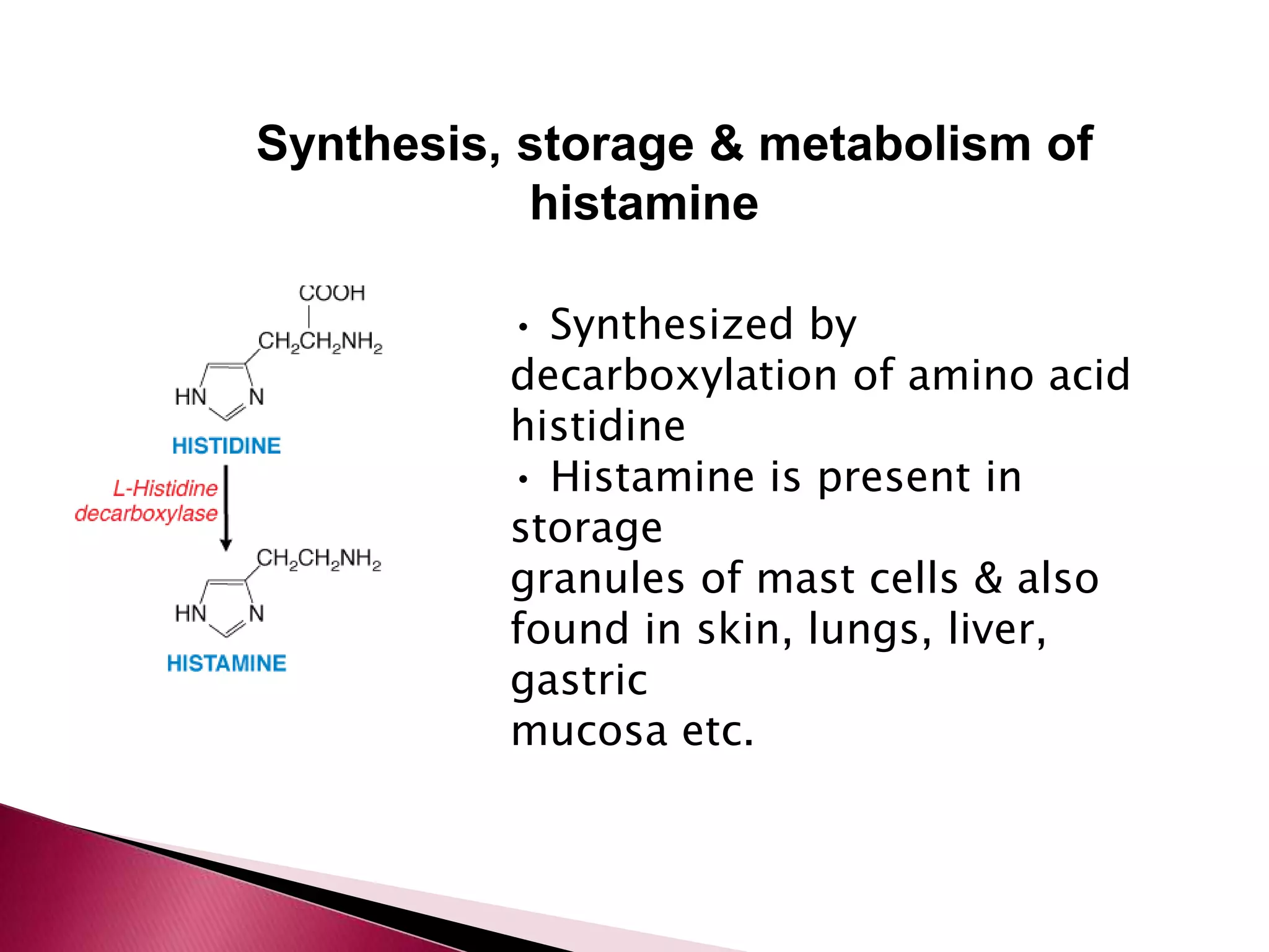 Histamine and antihistamine drugs | PPTX