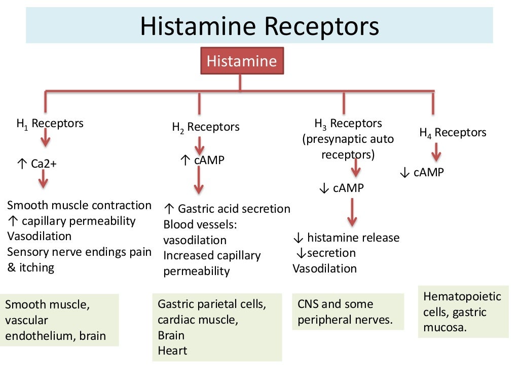 Histamine and antihistaminic