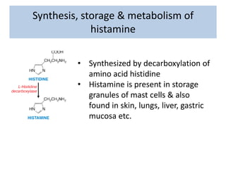 Histamine Metabolism