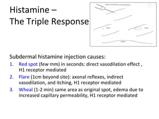 Histamine and antihistaminics | PPT