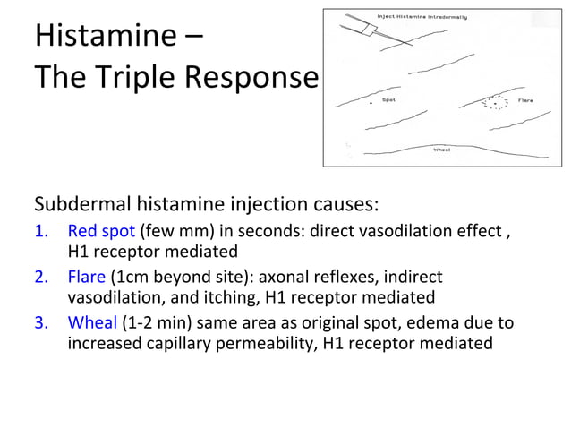 Histamine and antihistaminics | PPT | Allergies | Diseases and Conditions