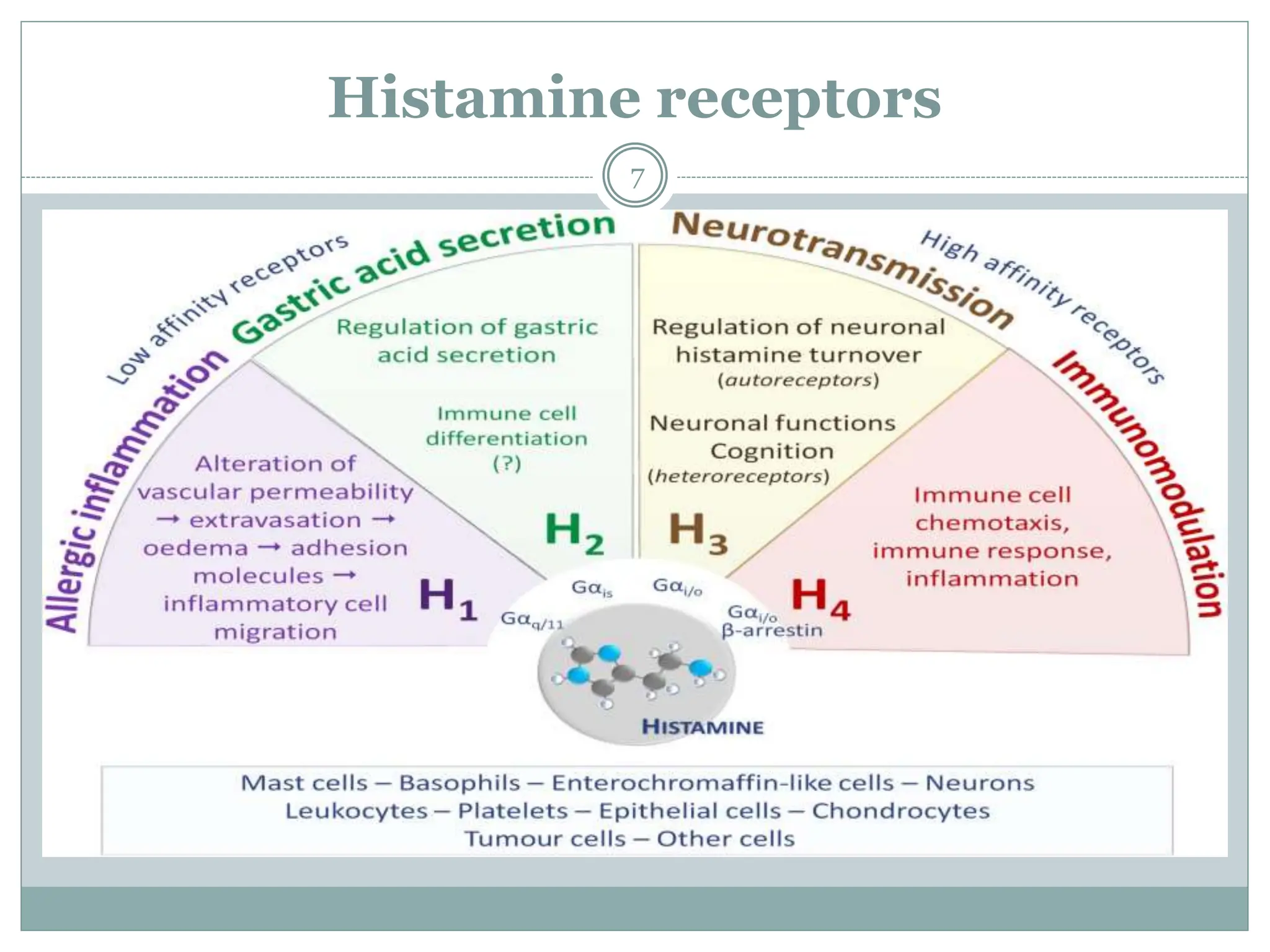 Pharmacology of Histamine and Antihistaminics | PPTX