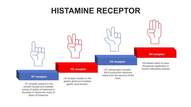 Histamine and histamine | PDF