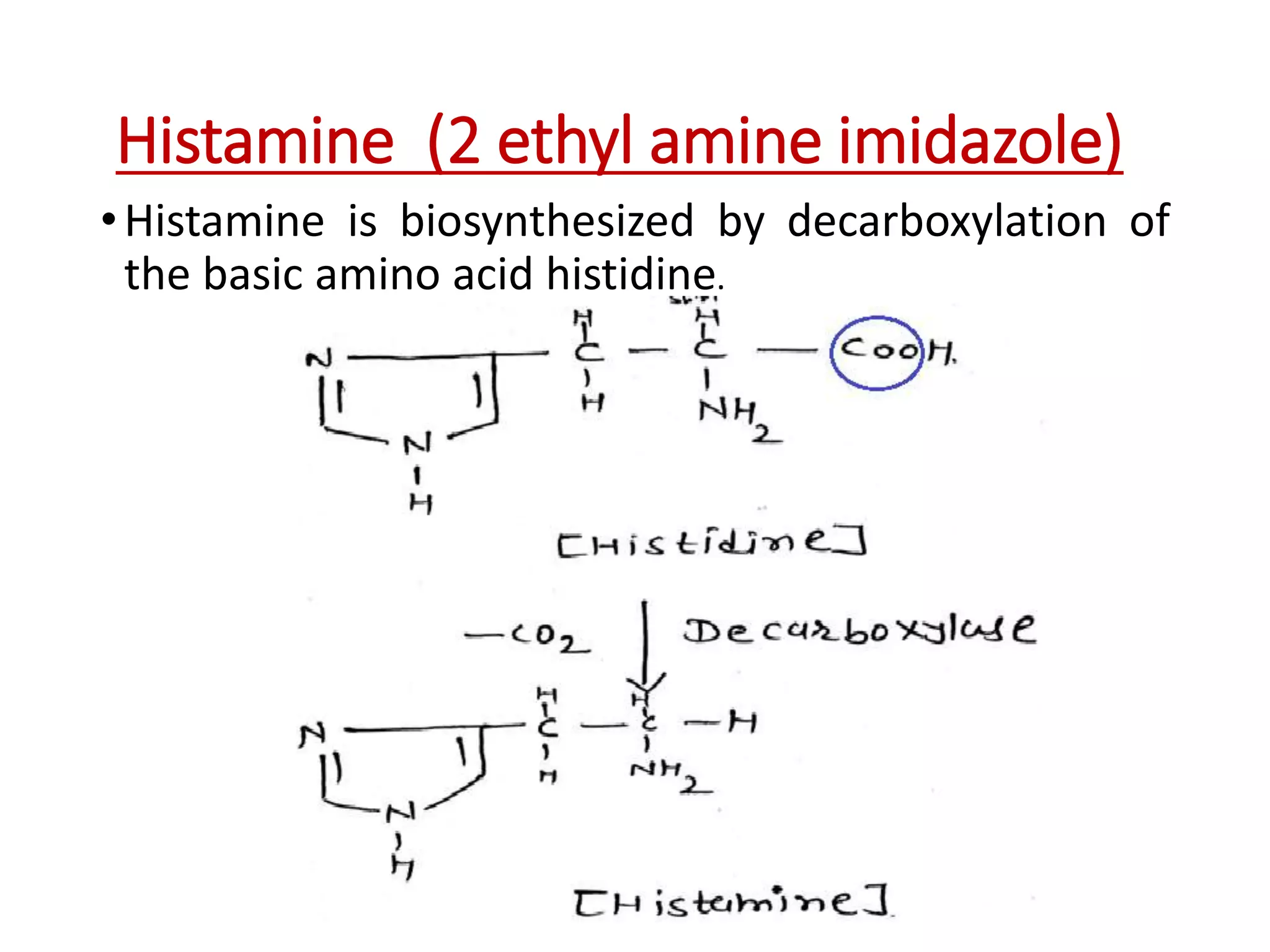 Histamine & Antihistamine.pptx