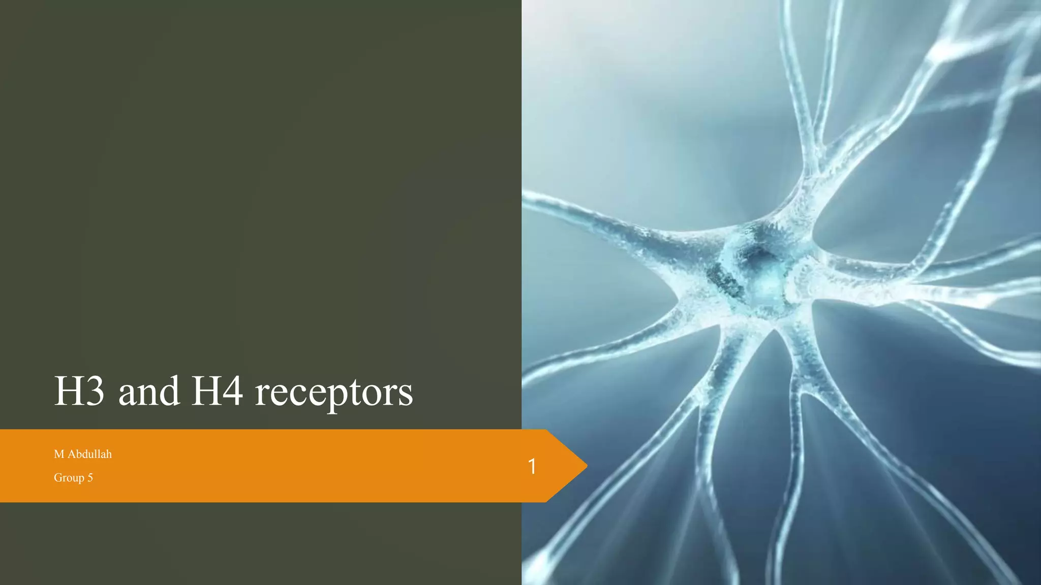 Histamine H3 receptor (1).pptx