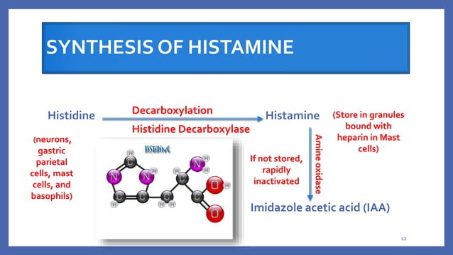 (HISTAMINE ITS ANTAGONISTS) Pharmacology, Medical lecures.pptx
