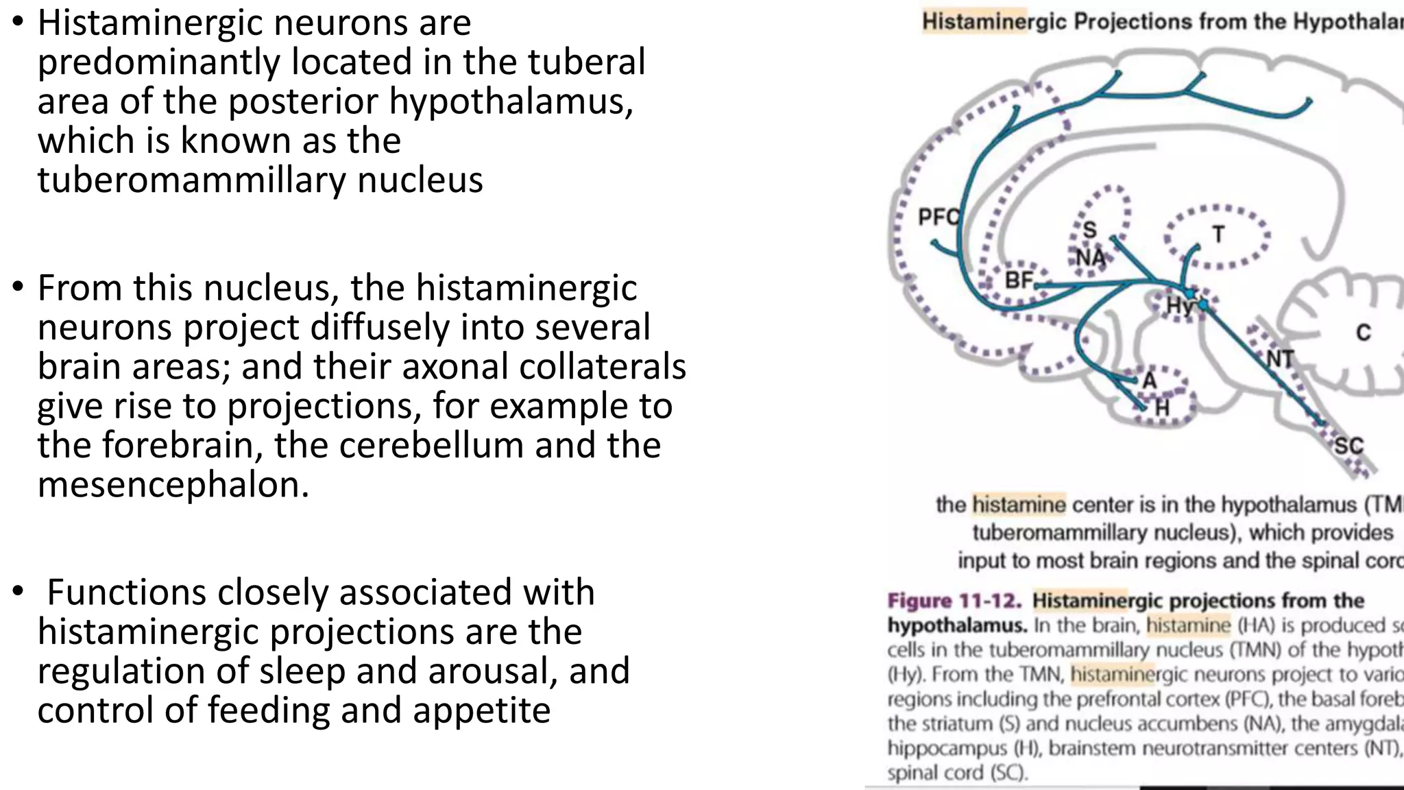 Histamine PSYCHIATRIC ASPECTS | PPTX
