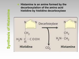 Histamine Synthesis