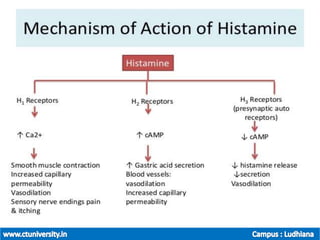 pharmacology of Histamines , Serotonin and its antagonist | PPTX