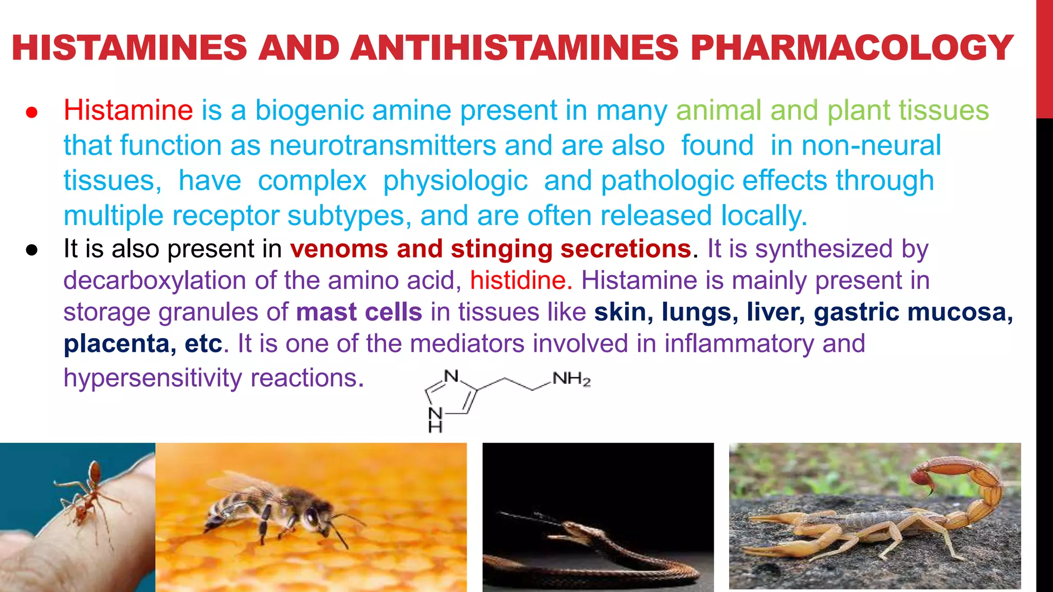 Histamines and antihistamine pharmacology | PPTX
