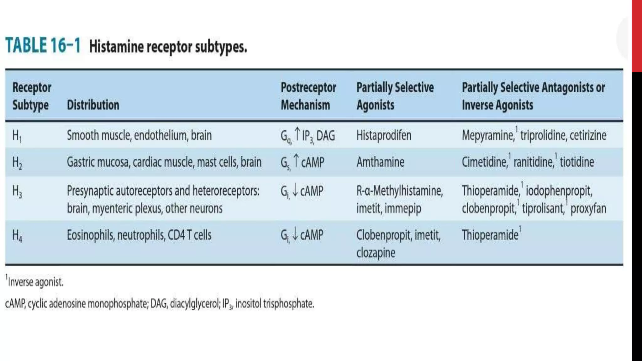 Histamines and antihistamine pharmacology | PPTX