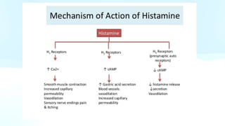 Histamines and anti histamines.presentation | PPTX