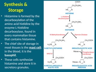 histamines and antihistamines hariom 1st batch.pptx
