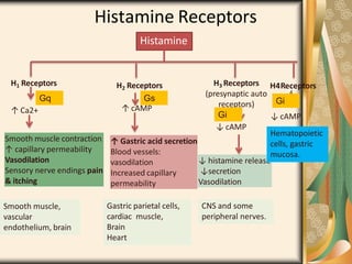 Histamines and antihistamines mbbs | PPTX